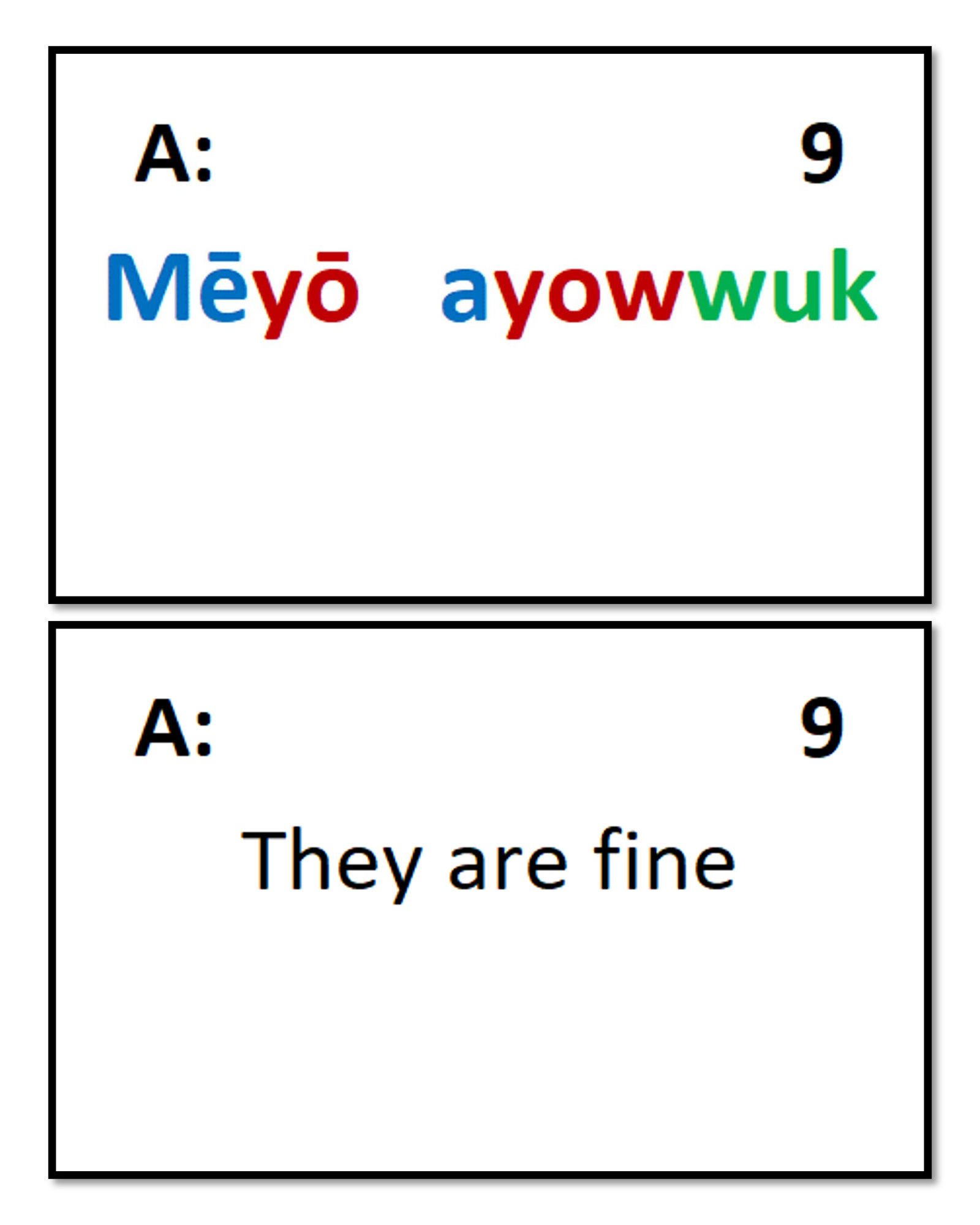 Lesson 6 — Michif Language Revitalization Circle